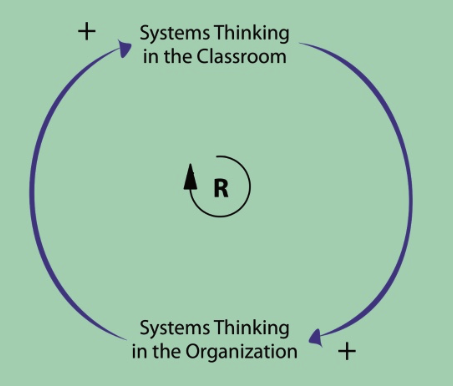 Schools that Learn and Systems Thinking – Don Bosco Educa